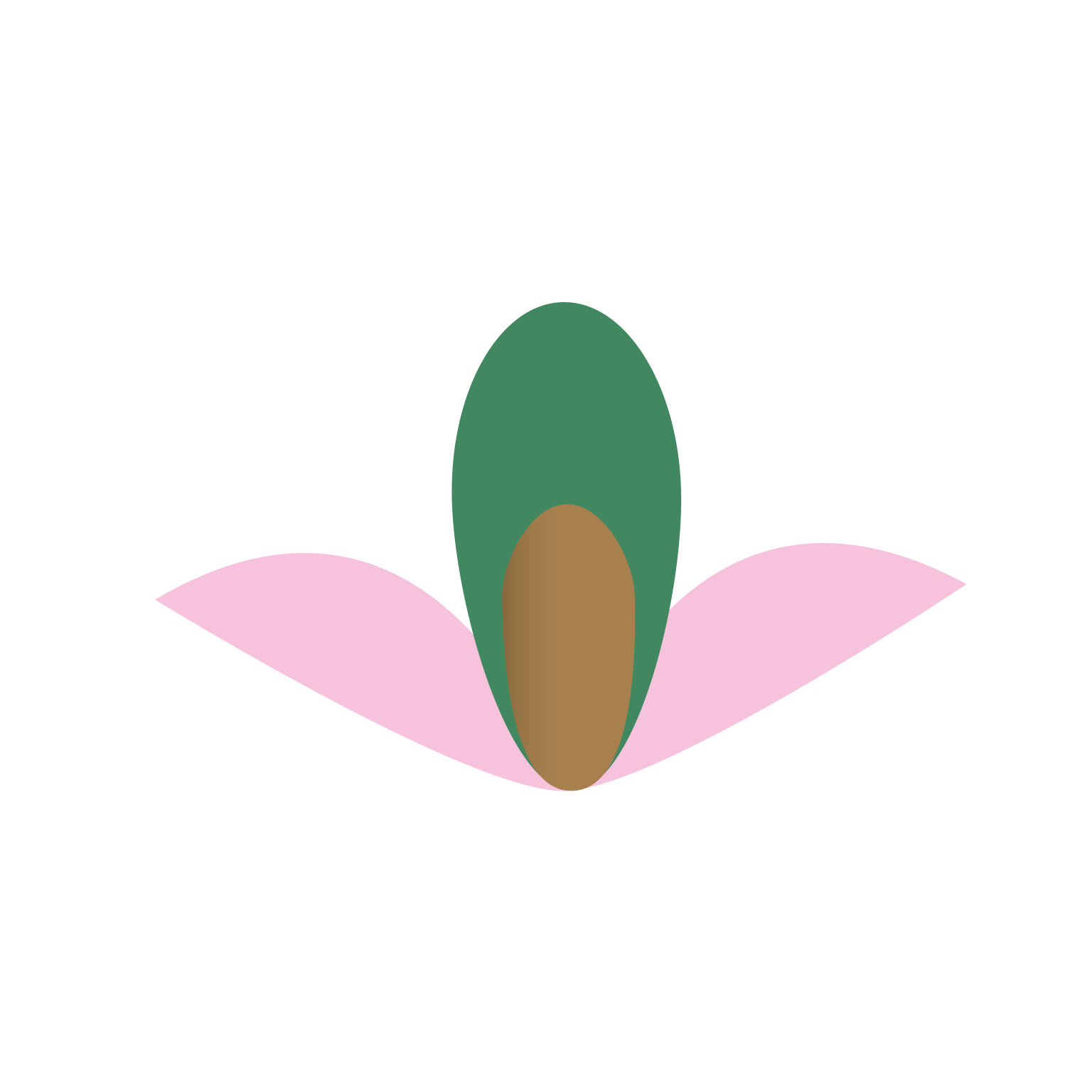 Beroia – Cosmétique orientale