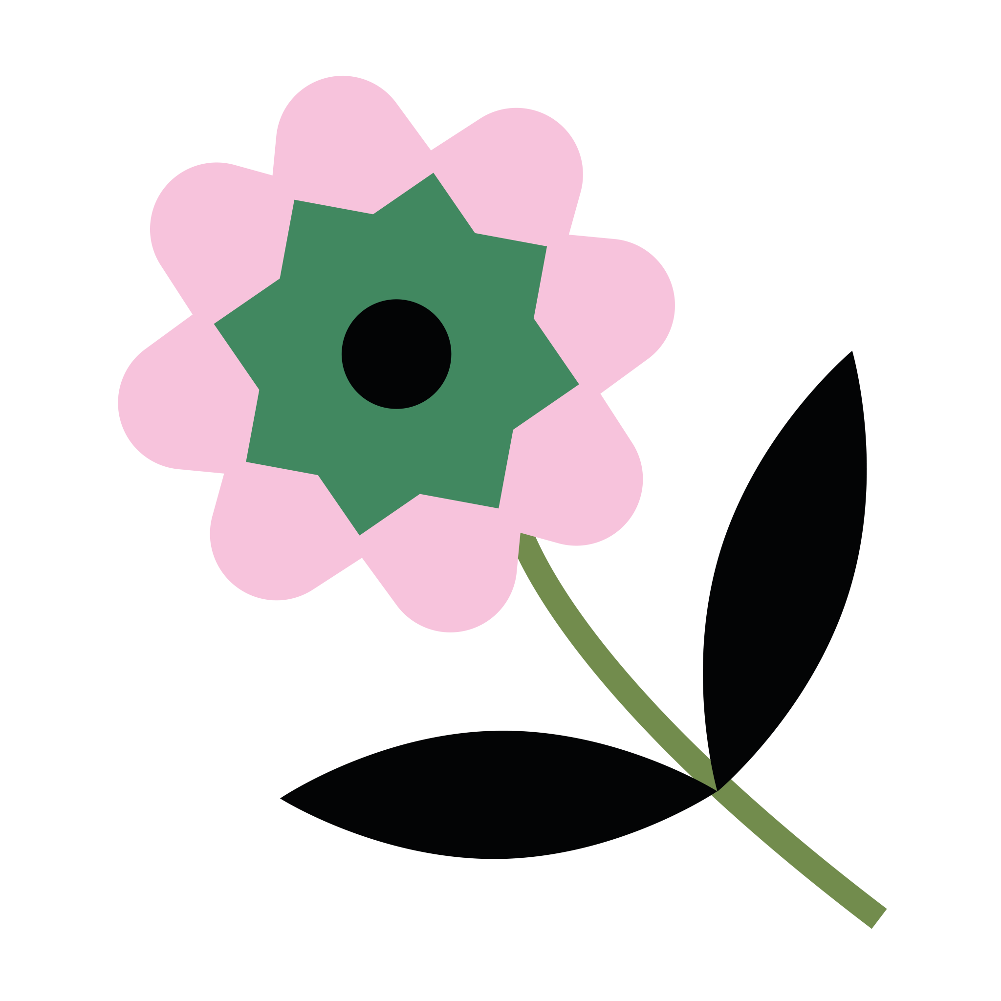 Beroia – Cosmétique orientale